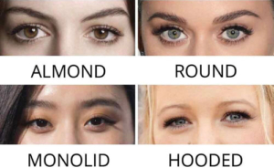 What race am I Quiz - Answer 10 Questions To Find Out!